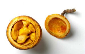 Maad (MADD) – Le fruit aux mille bienfaits (1kg) – Afroshop